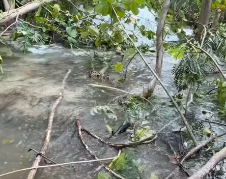 Guaynabo activa plan de apoyo ante emergencia por avería en el ...