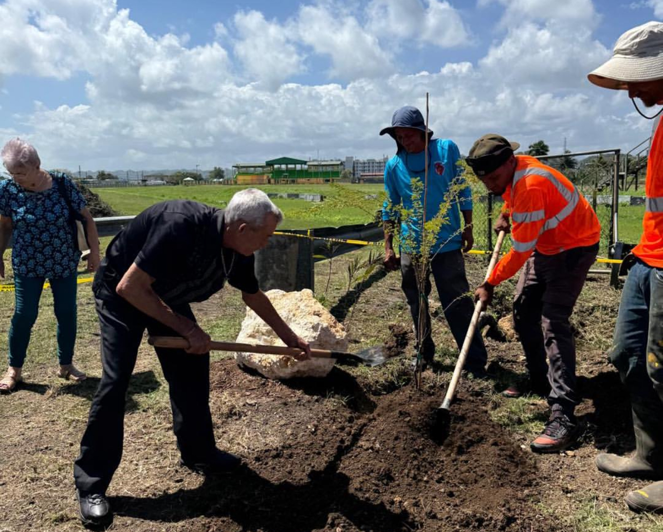 DRNA invita a celebrar el Día del Árbol | NewsPR