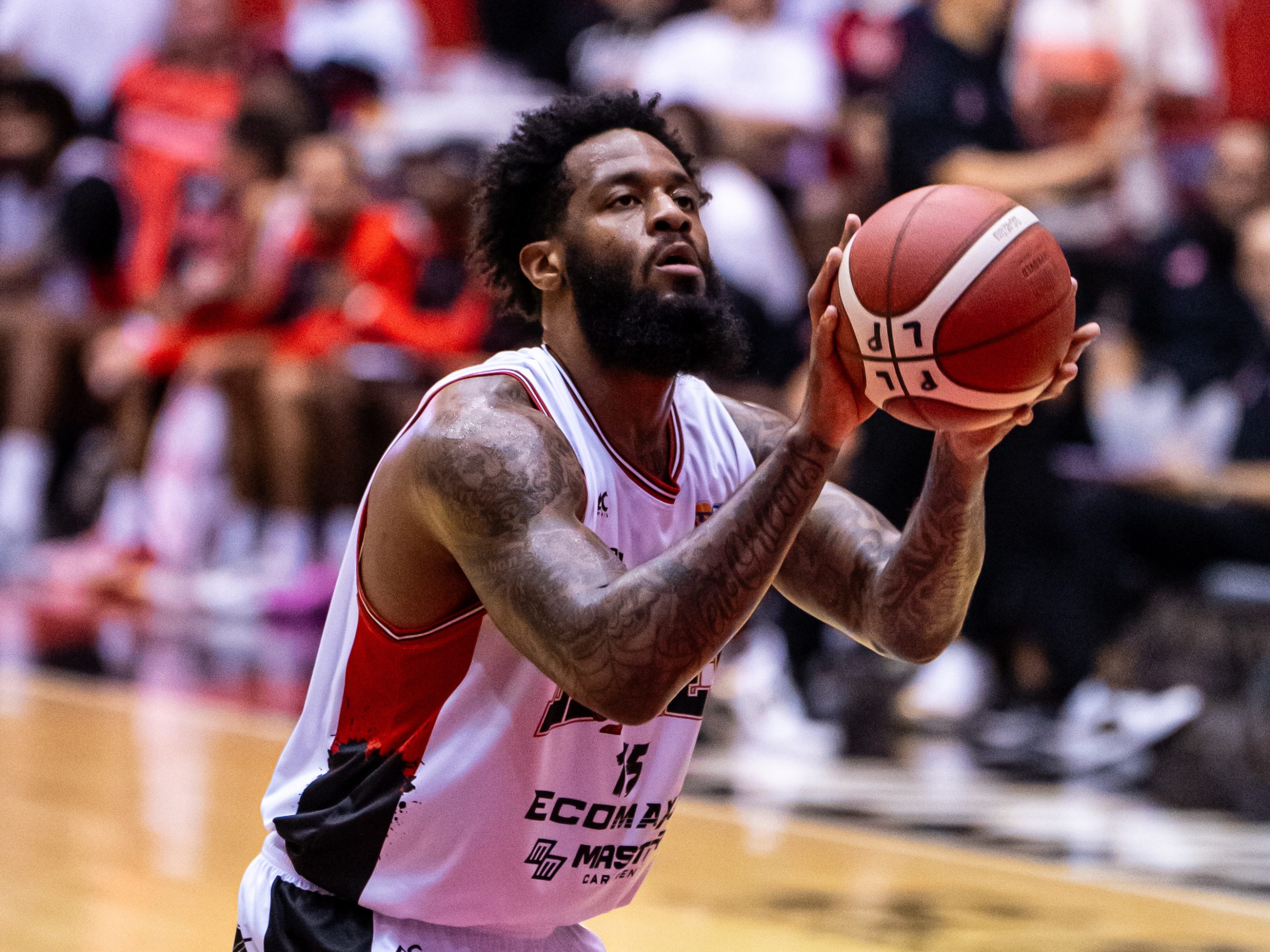 Capitanes y Leones con victorias en el BSN | NewsPR